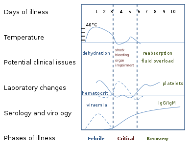 Demam Berdarah Dengue, Penyakit Langganan Musim Hujan - SainsPop